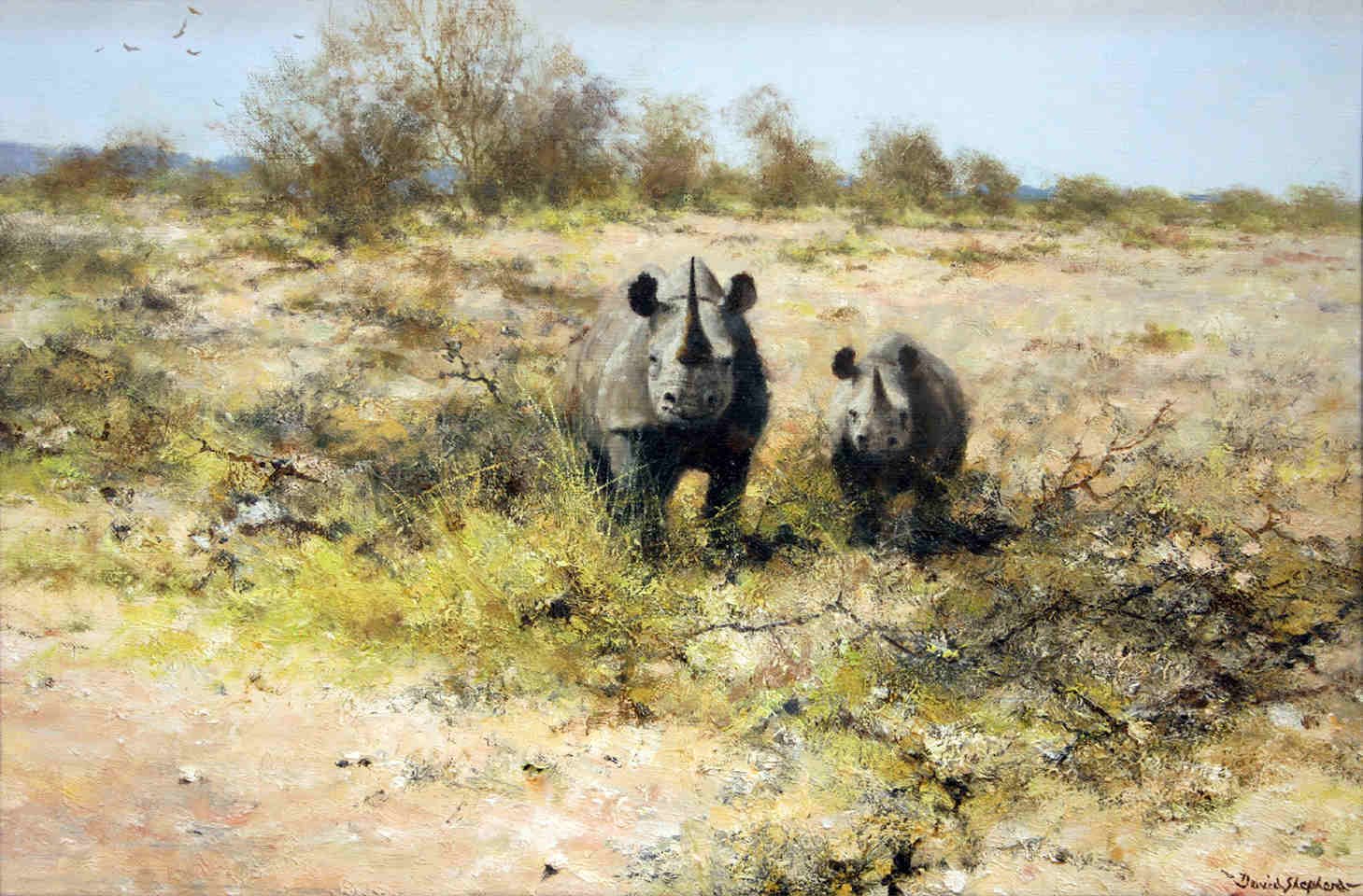 Exploring The Life Of Artist David Shepherd – Wildlife Fantasy